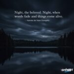 99 Night Sky Quotes to Spark Your Imagination
